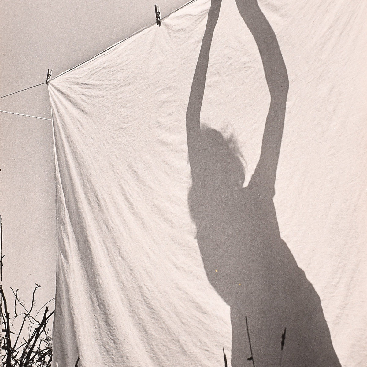 How to naturally remove stains with the sun – The Dirt Company